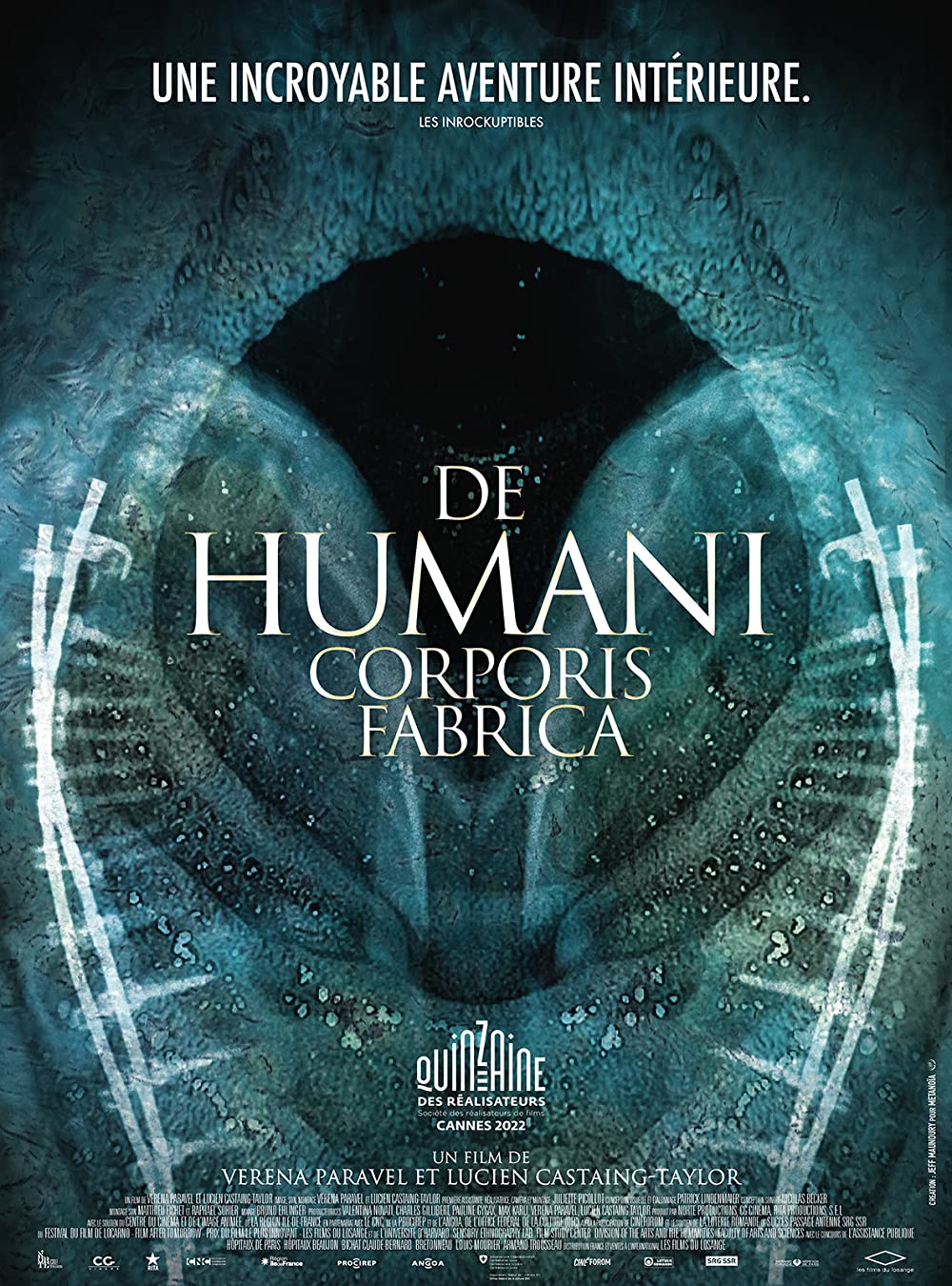 De Humani Corporis Fabrica | San Diego Reader