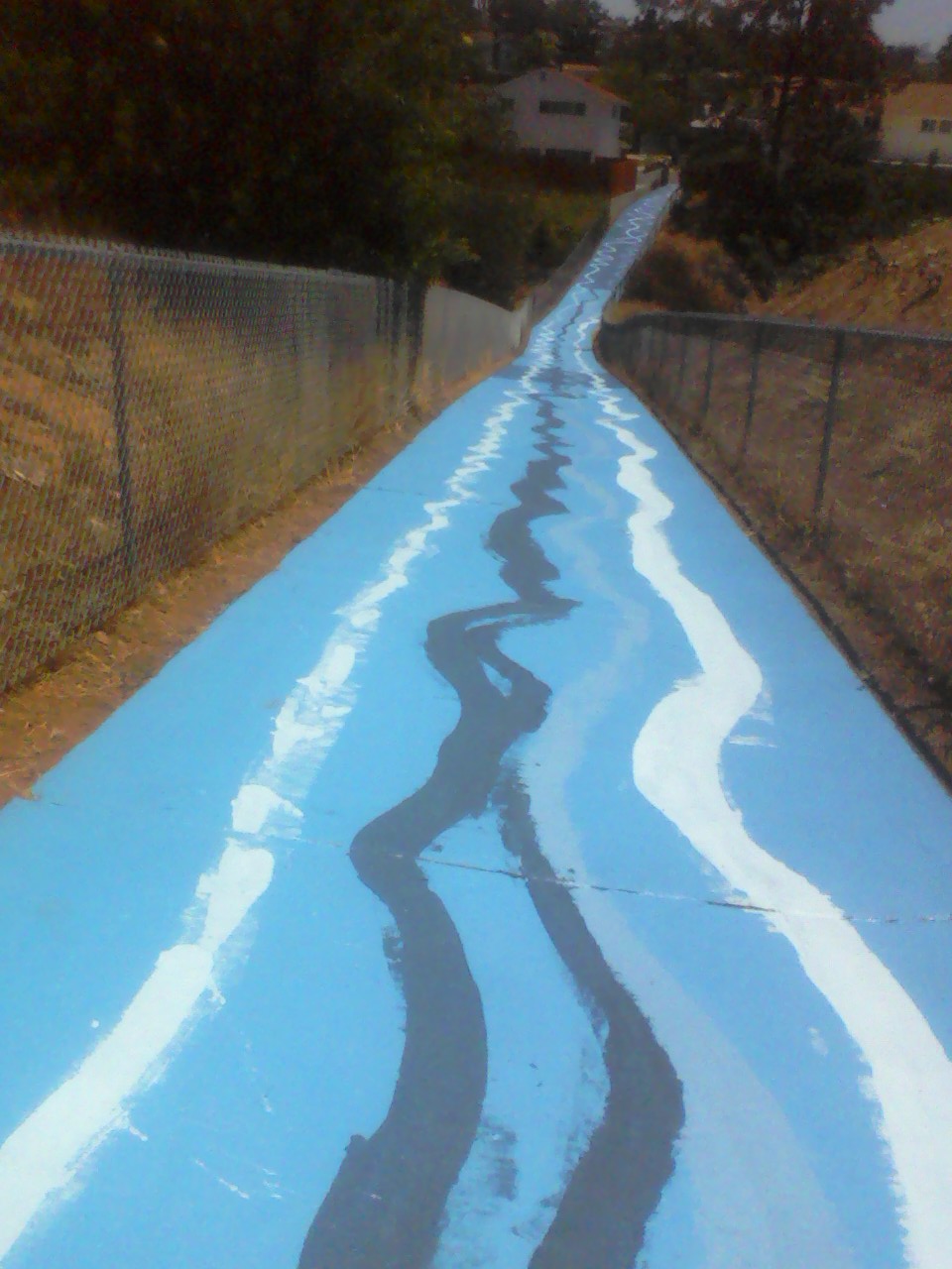 Fishy paint job for La Mesa catwalk | San Diego Reader