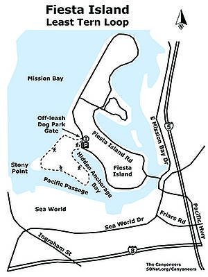 Spot the California least tern near Fiesta Island’s Stony Point | San ...