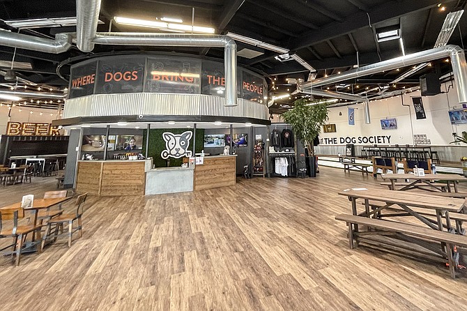 Photo: A wide open dog-friendly space, with games and refreshment | San ...