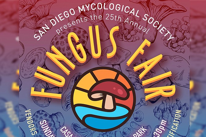 Photo: Fungus Fair 2023, vendors, food, speakers, live specimens ...