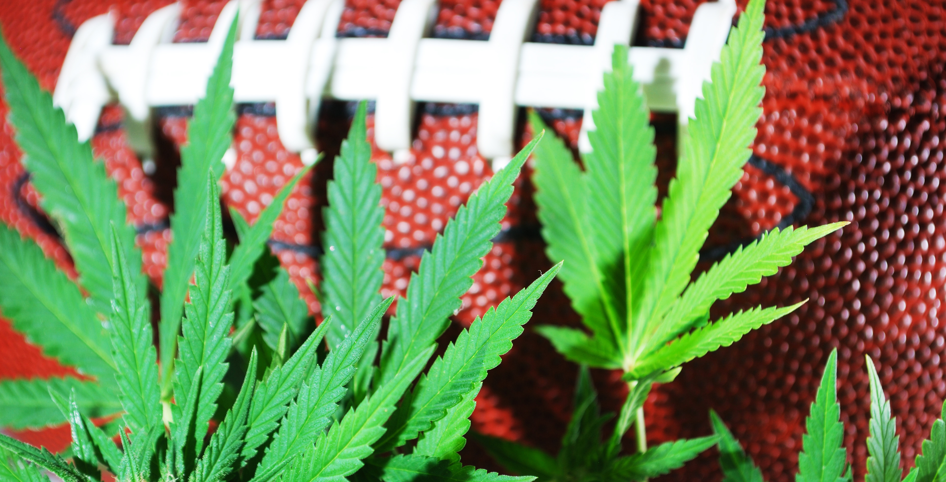 Weed Report: Sports and smoke | San Diego Reader