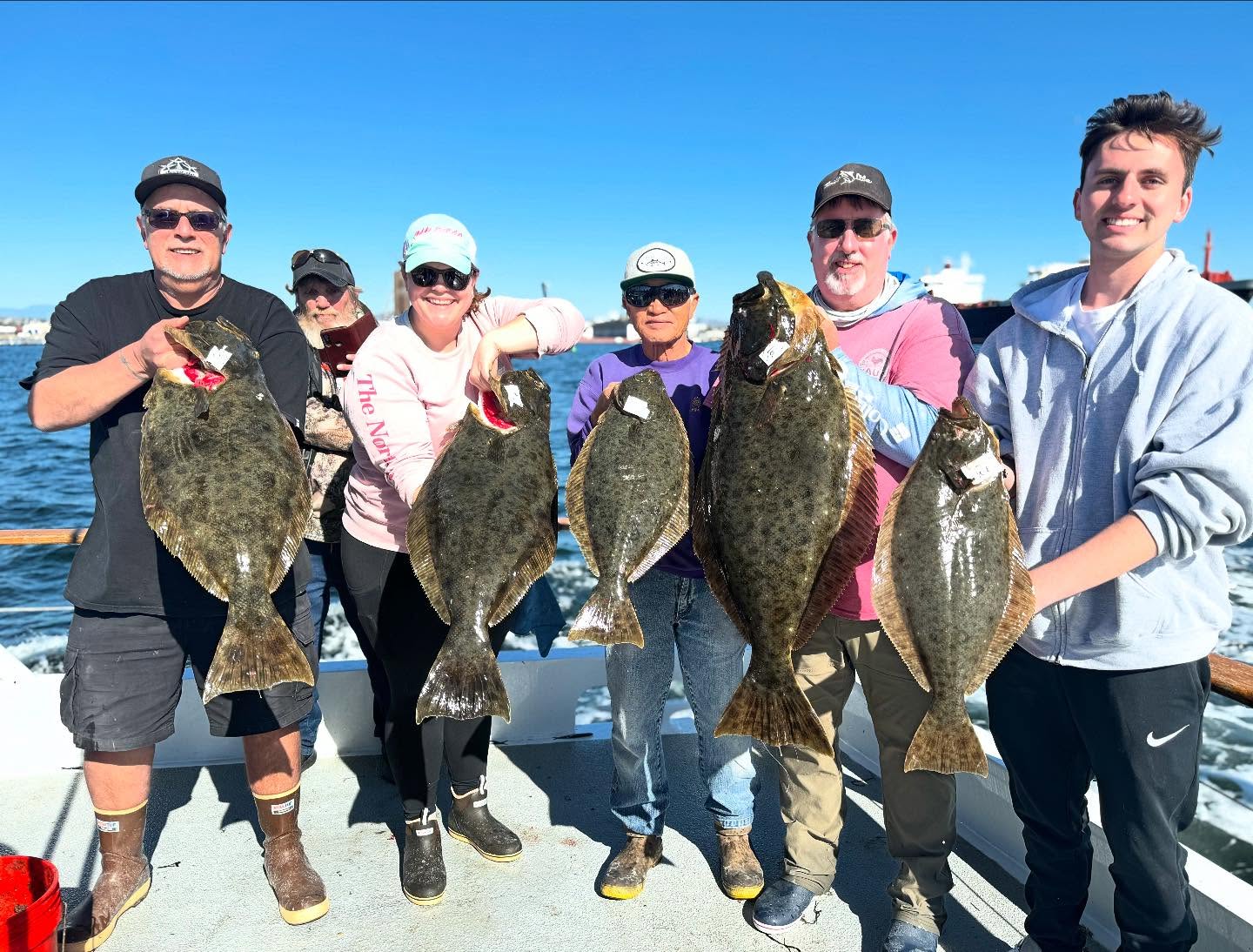 Fishing Report: Sardine bait is back | San Diego Reader