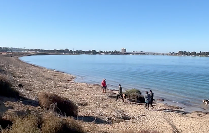 San Diego's animals buffetted by flooding, pollution, construction ...