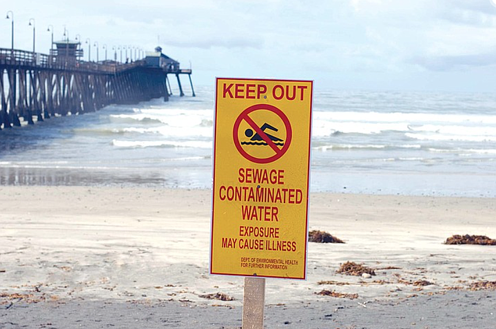 San Diego's animals buffetted by flooding, pollution, construction ...