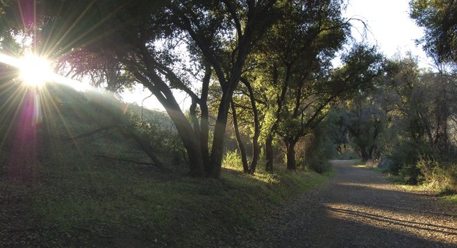 Blue Sky Ecological Reserve | San Diego Reader